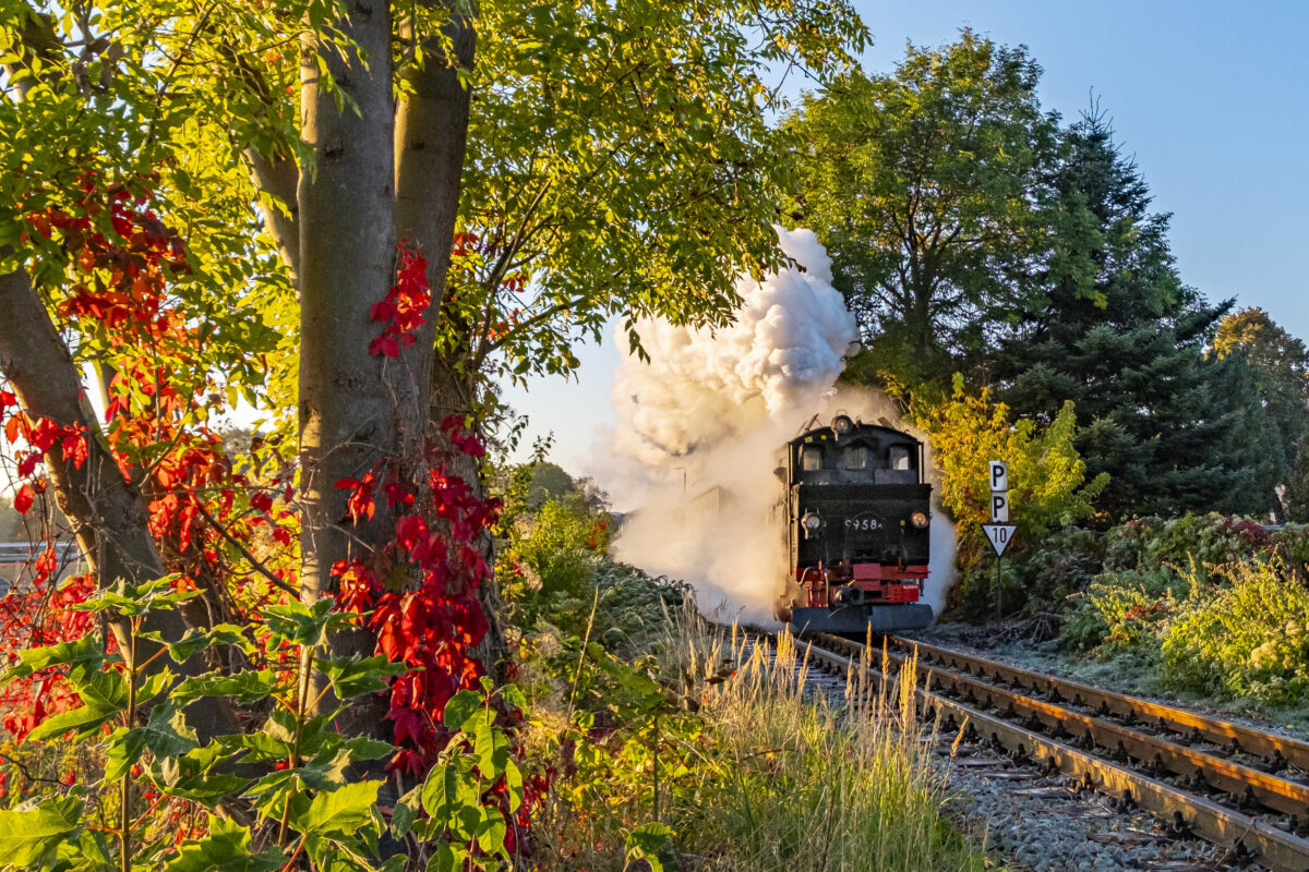 Dampffahrten am Tag der deutschen Einheit – Mit dem „Wilden Robert ...